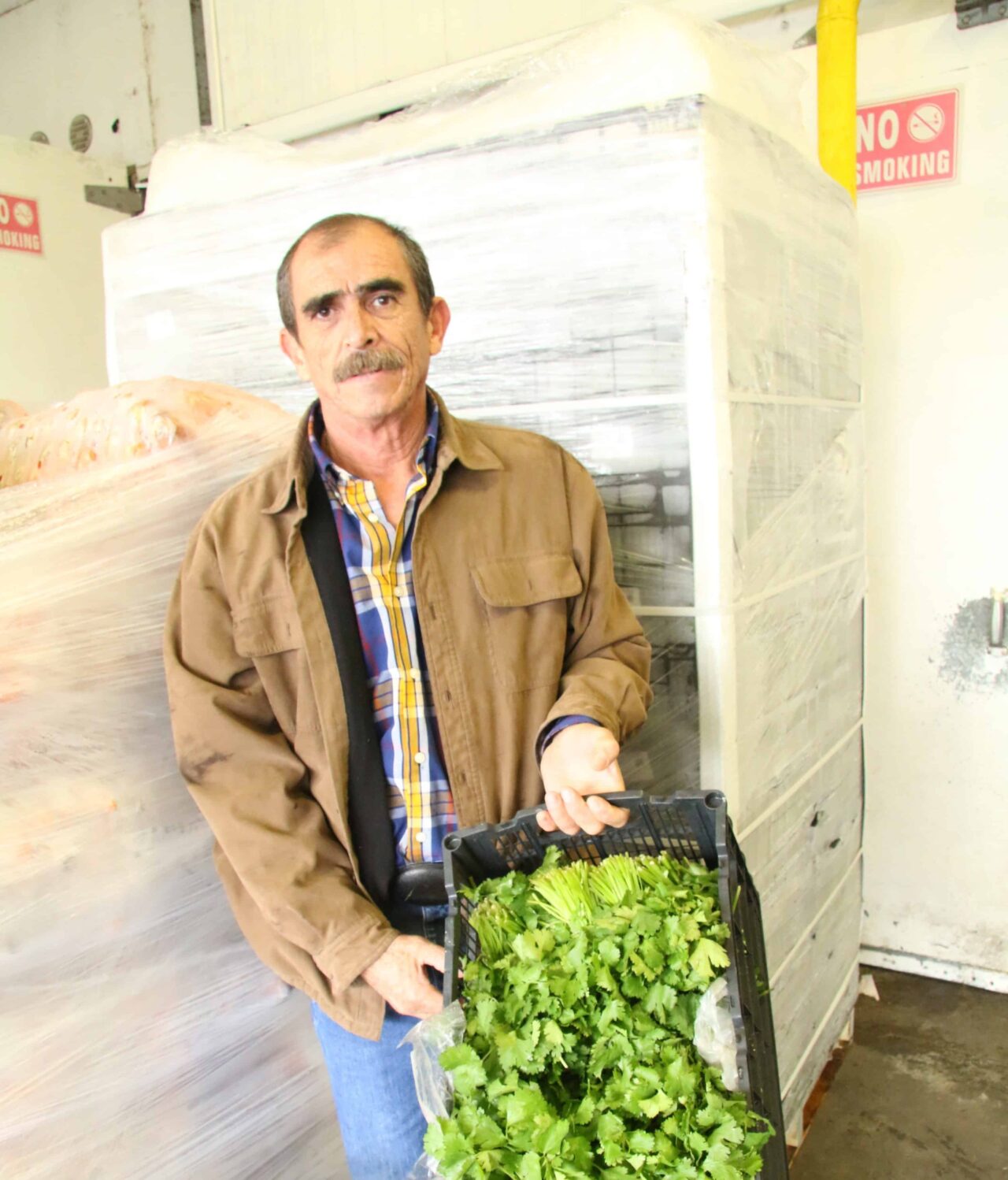 Moctezuma Import Inc. - Houston Farmers Market