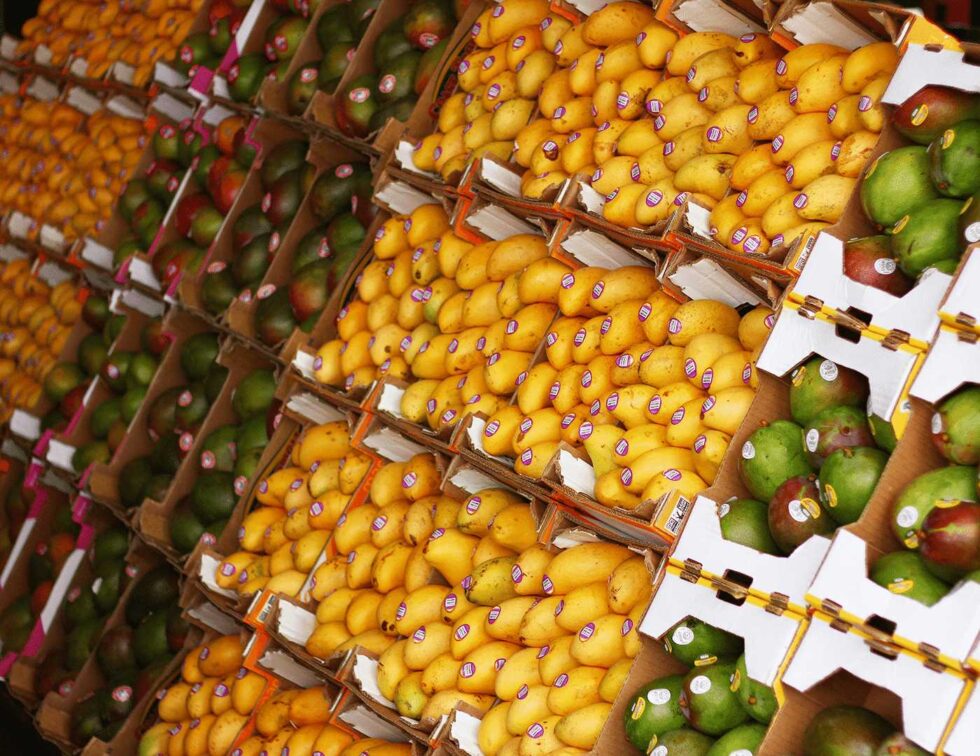 Rivera’s Best Produce - Houston Farmers Market